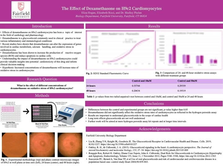 Elizabeth Ricci Research Portfolio