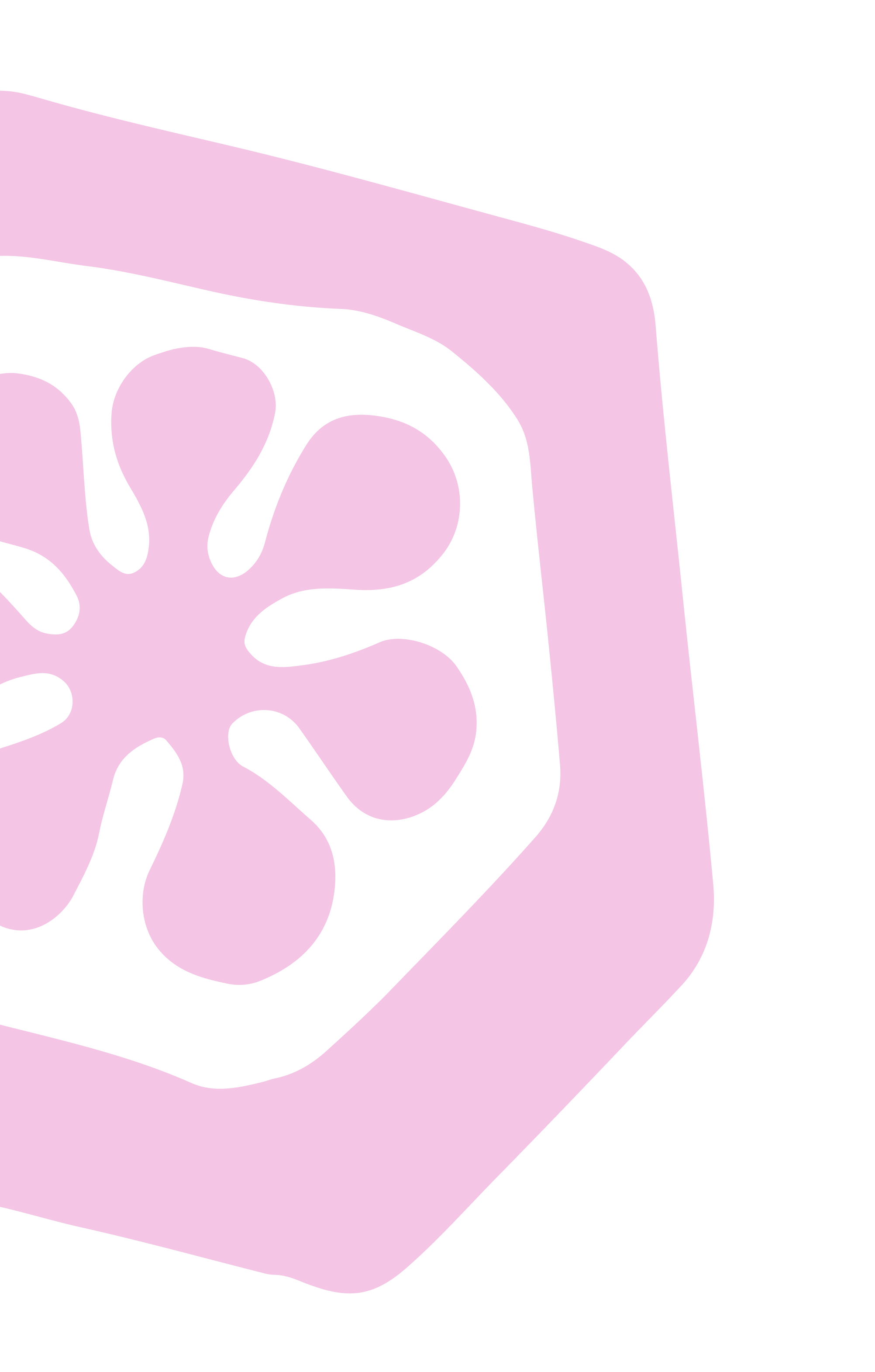 About Us — The Okra Project