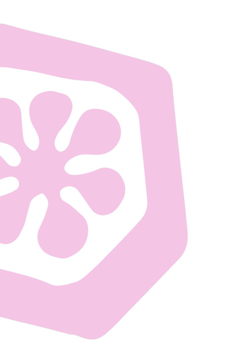 About Us — The Okra Project