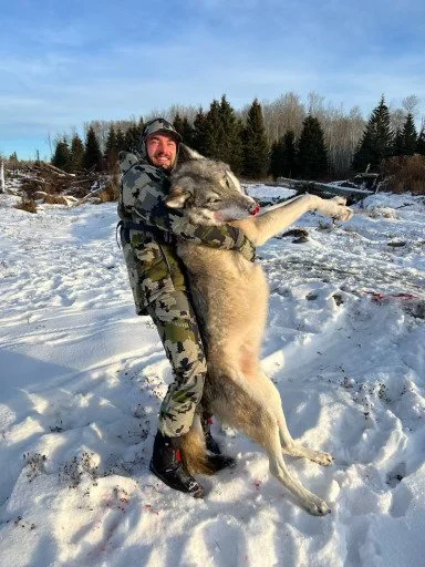 Alberta Wolf Hunting Outfitters - Wolf Hunting Guides Alberta, Canada