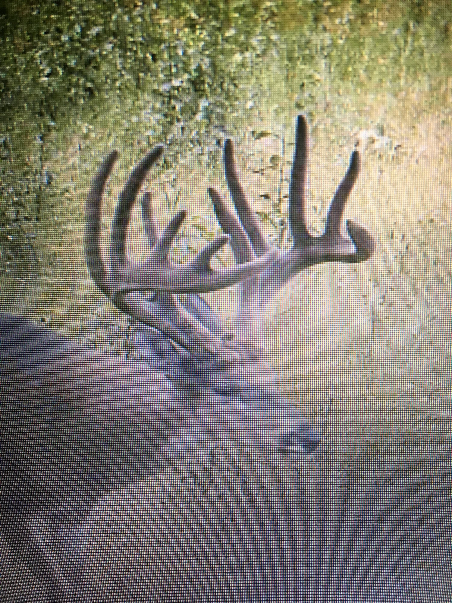 Alberta Hunting Prices - Corbett Creek Outfitters