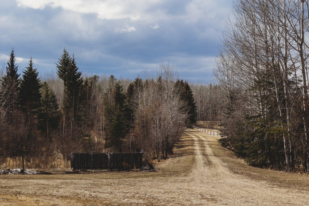Northern Alberta Outfitters - Alberta Hunting Outfitters - Alberta ...