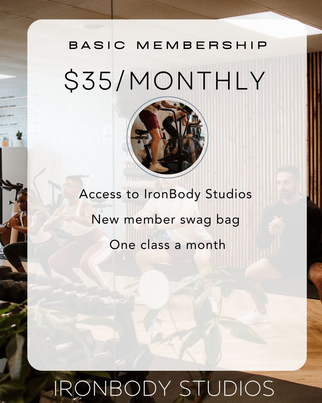 Gym, Open Gym, — IronBody Studios