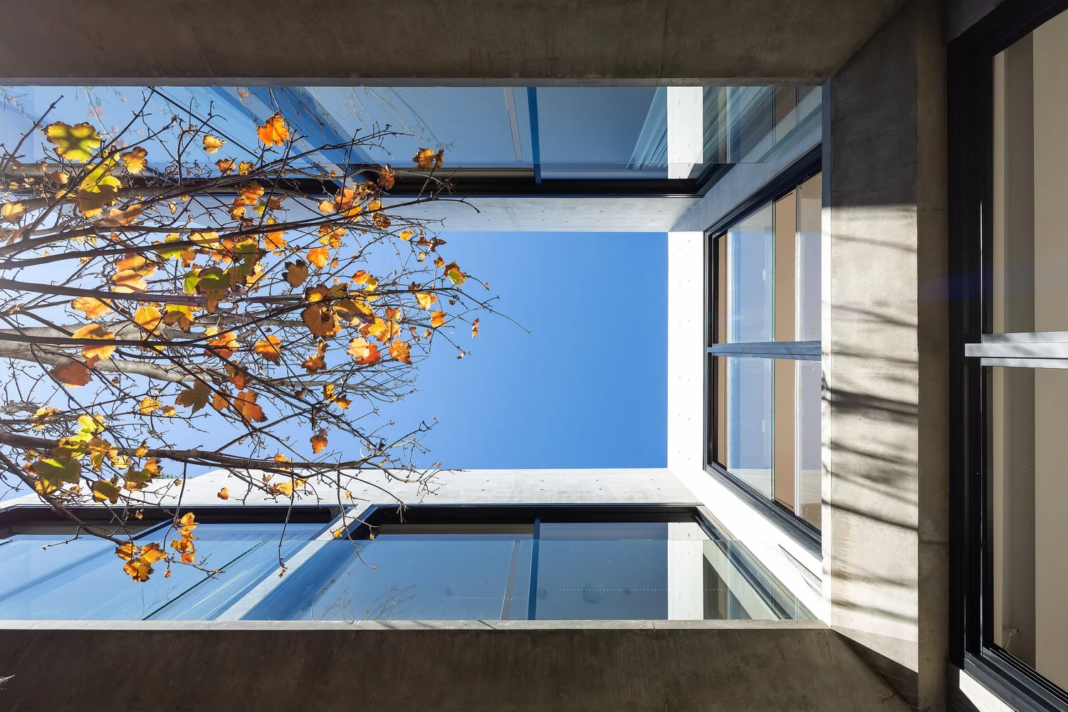 SANDRINGHAM HOUSE — Ursino Architects