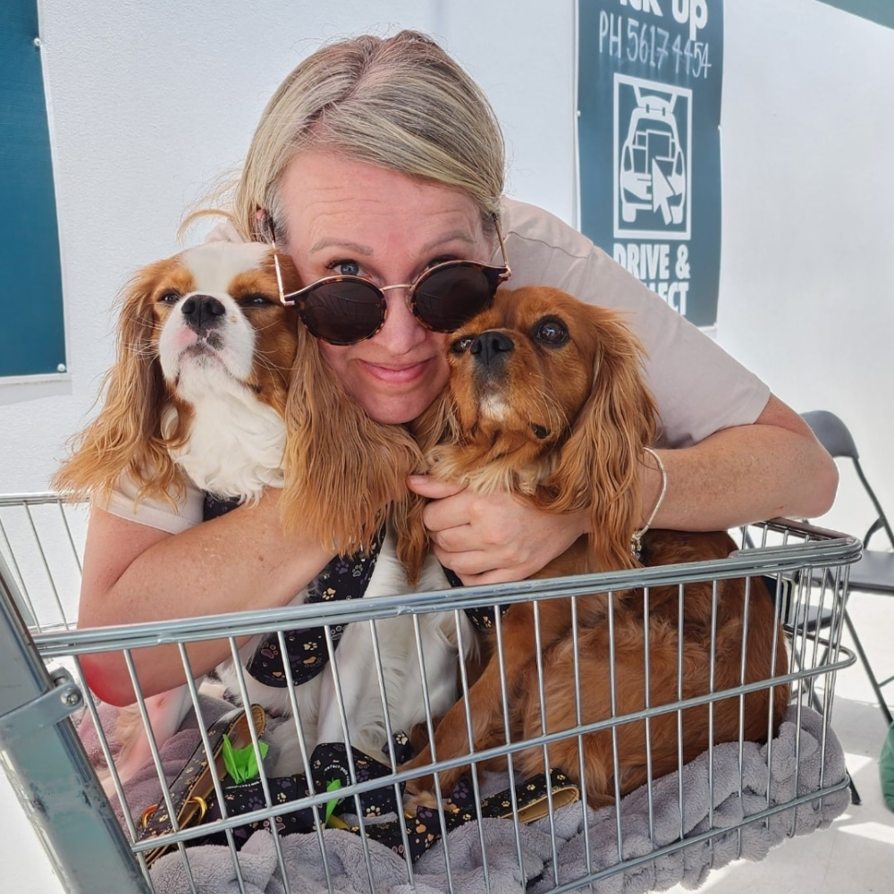 Cavalier King Charles Spaniel Rescue QLD