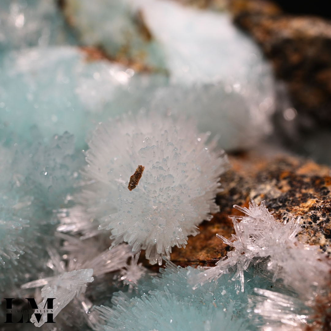 Acicular Blue Aragonite (Yunnan, China) - 2310ABA-YC-2 — La Mineralien