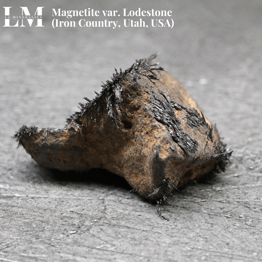 Magnetite var. Lodestone with Iron Filings (Iron Country, Utah, USA ...