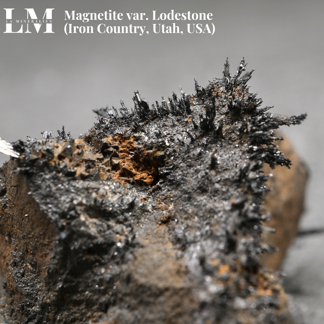 Magnetite var. Lodestone with Iron Filings (Iron Country, Utah, USA ...