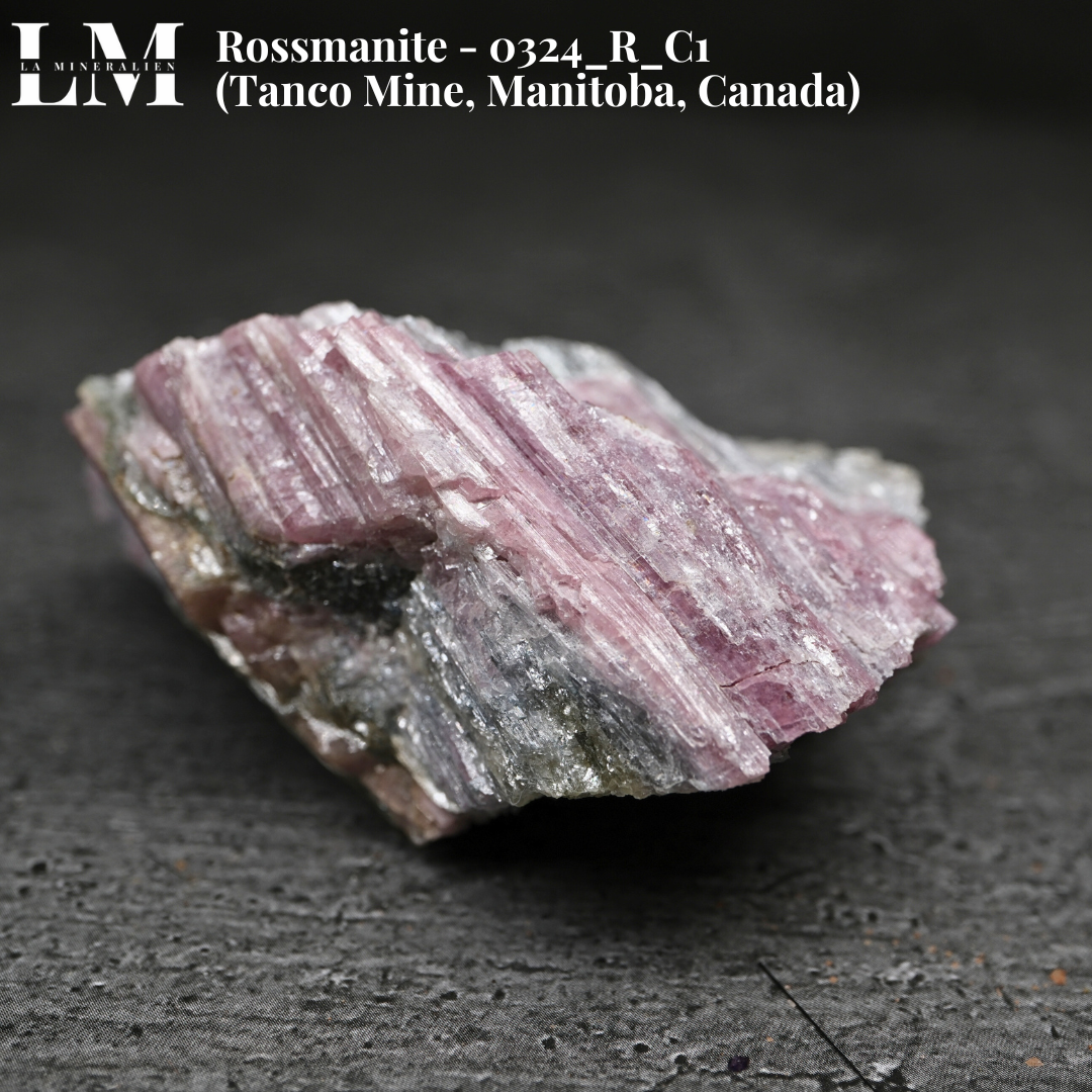 Liddicoatite Tourmaline Slice (Anjanabonoina pegmatites ...