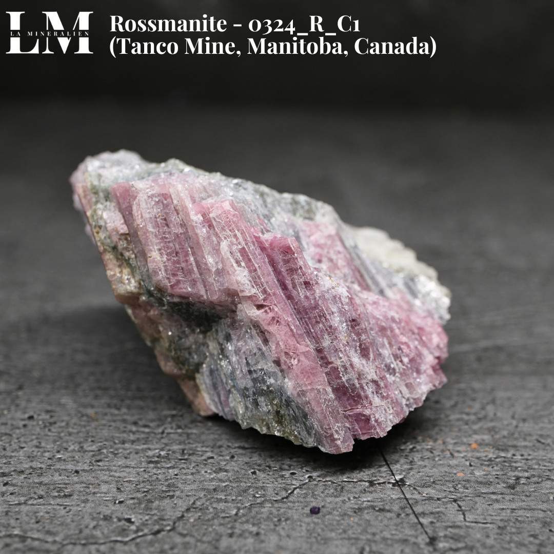 Green bi-color tourmaline on a Quartz Matrix (Pakistan) — La Mineralien