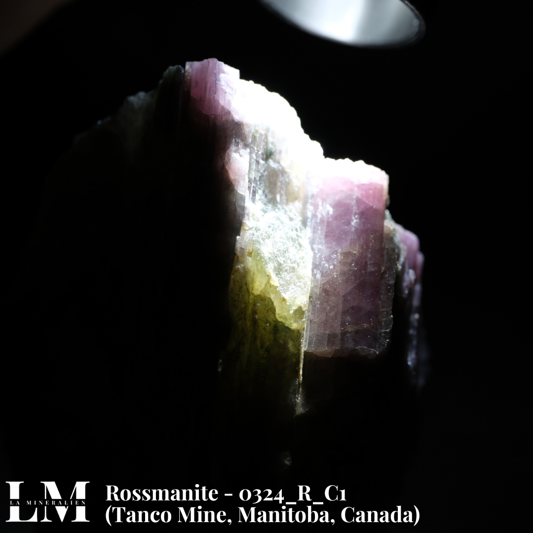 Liddicoatite Tourmaline Slice (Anjanabonoina pegmatites ...