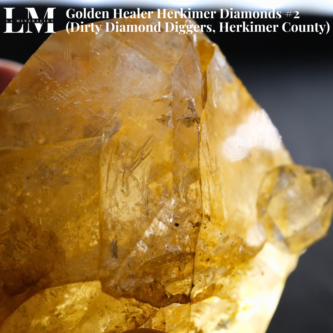 Magnetite var. Lodestone with Iron Filings (Iron Country, Utah, USA ...