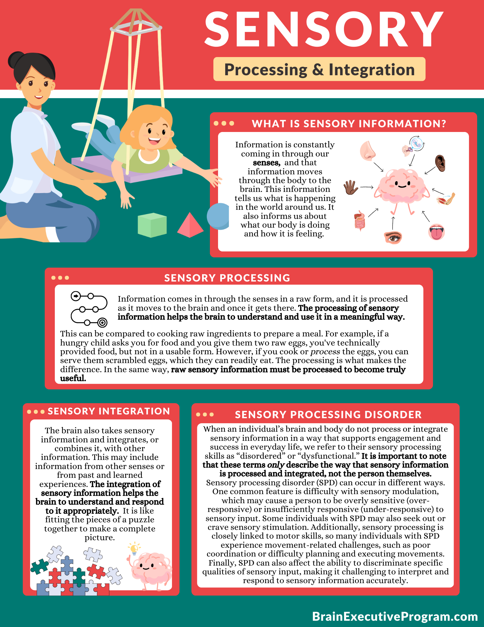 Brain Executive Program