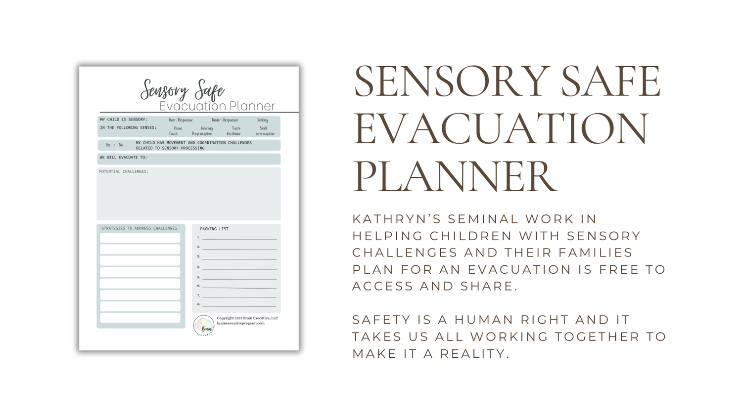 Brain Executive Program