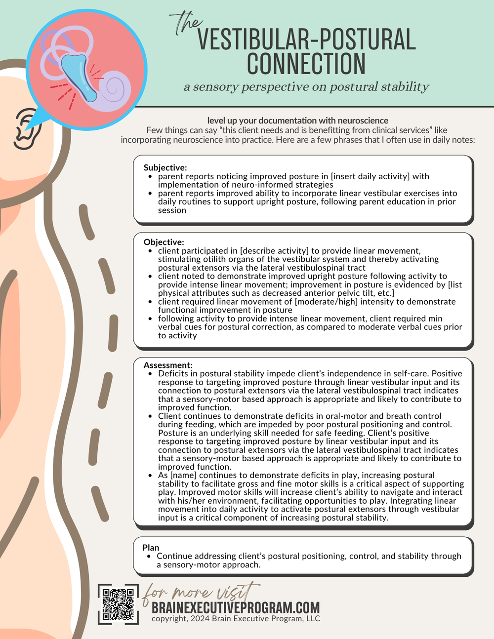 Infographics — Brain Executive Program