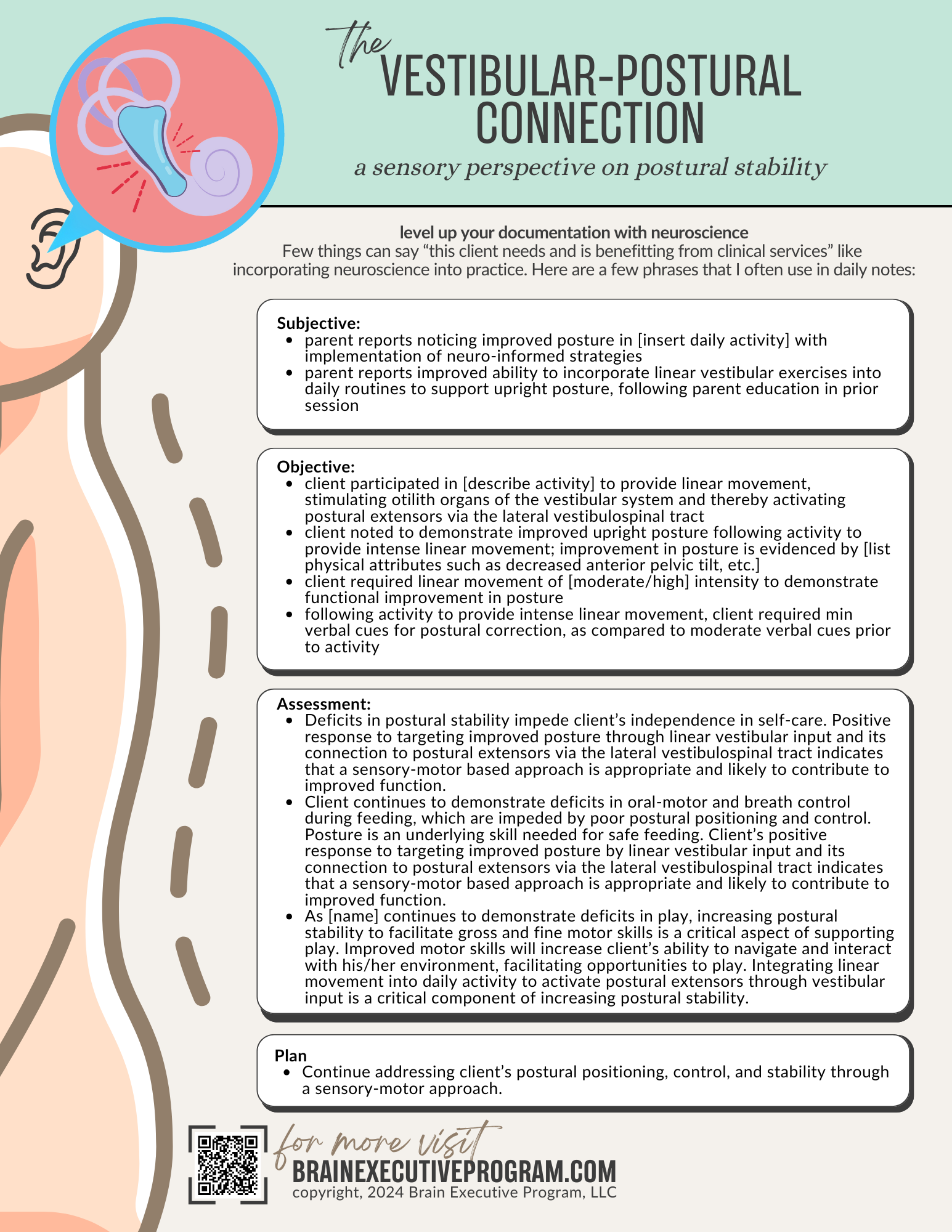 Infographics — Brain Executive Program
