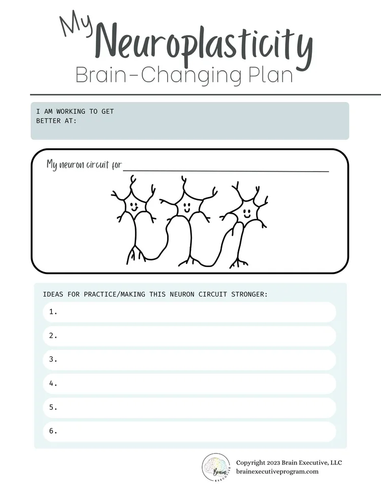 Neuroplasticity | Enhance Your Brain Now — Brain Executive Program