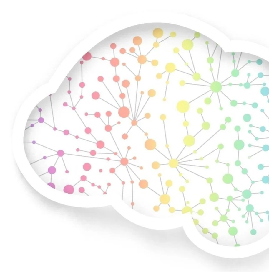 Infographics — Brain Executive Program