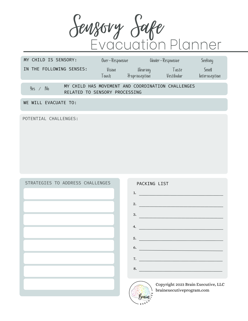 Brain Executive Program