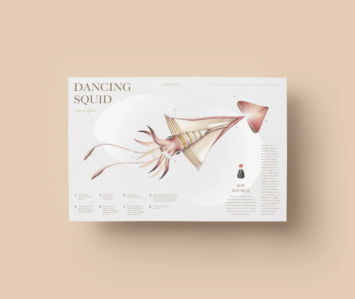 Dancing squid {illustration, infographic} — Judy C Design