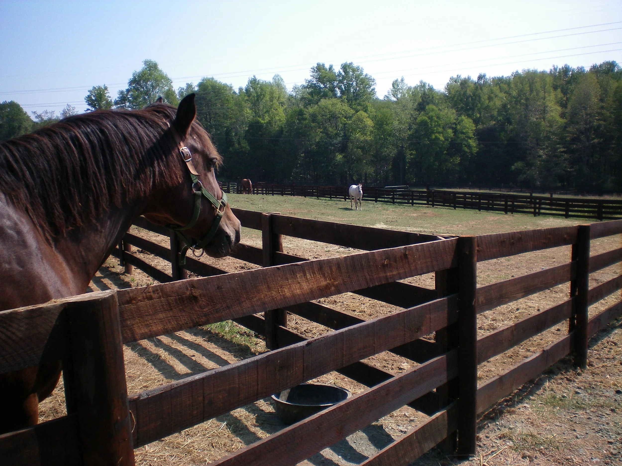 Facilities — Chapel Hill Equestrian