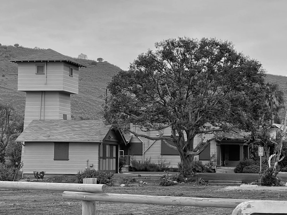 About — The Swanner House