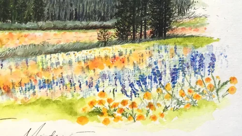 About — Maryjo Koch