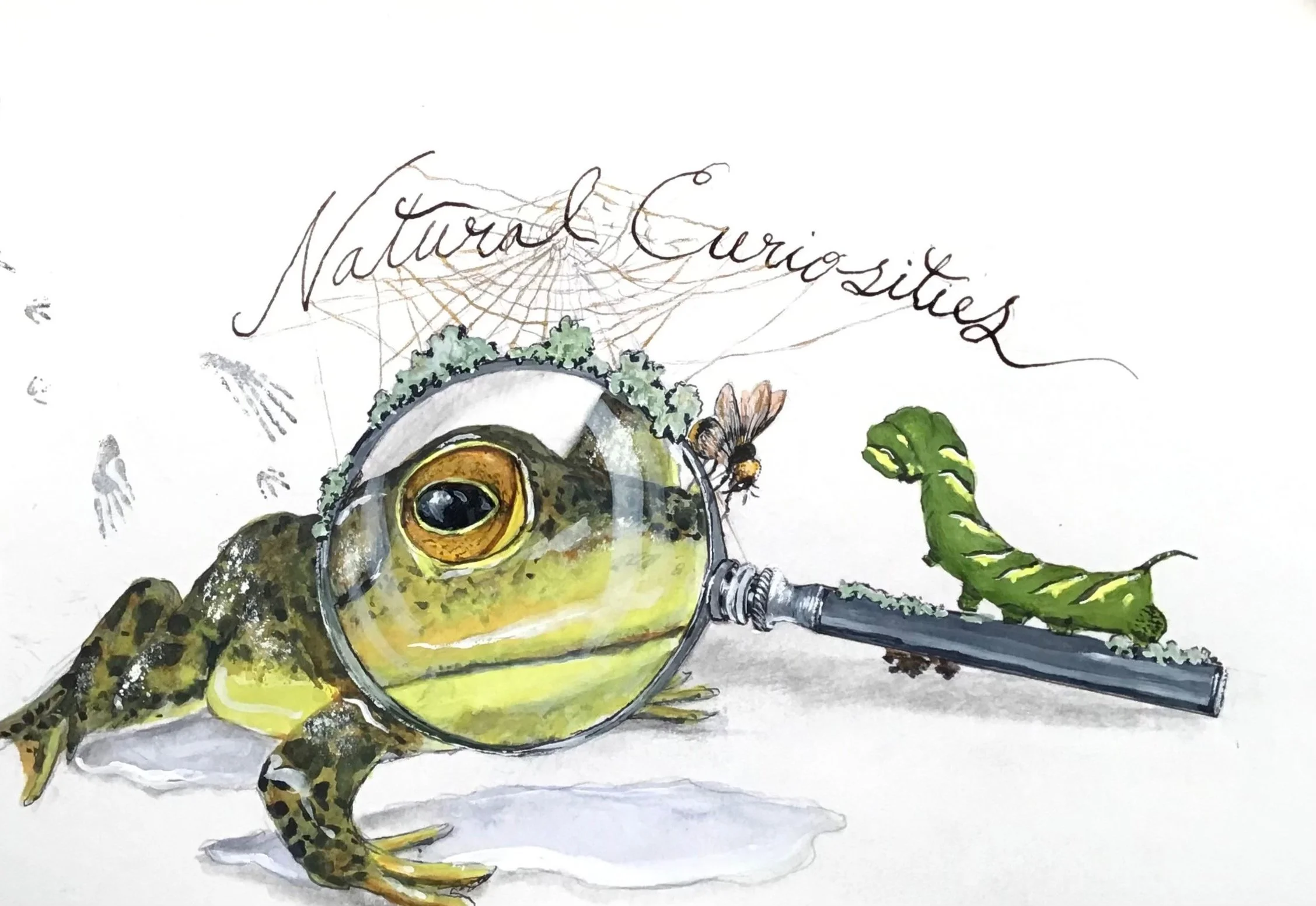 Painting Classes 2024 — Maryjo Koch