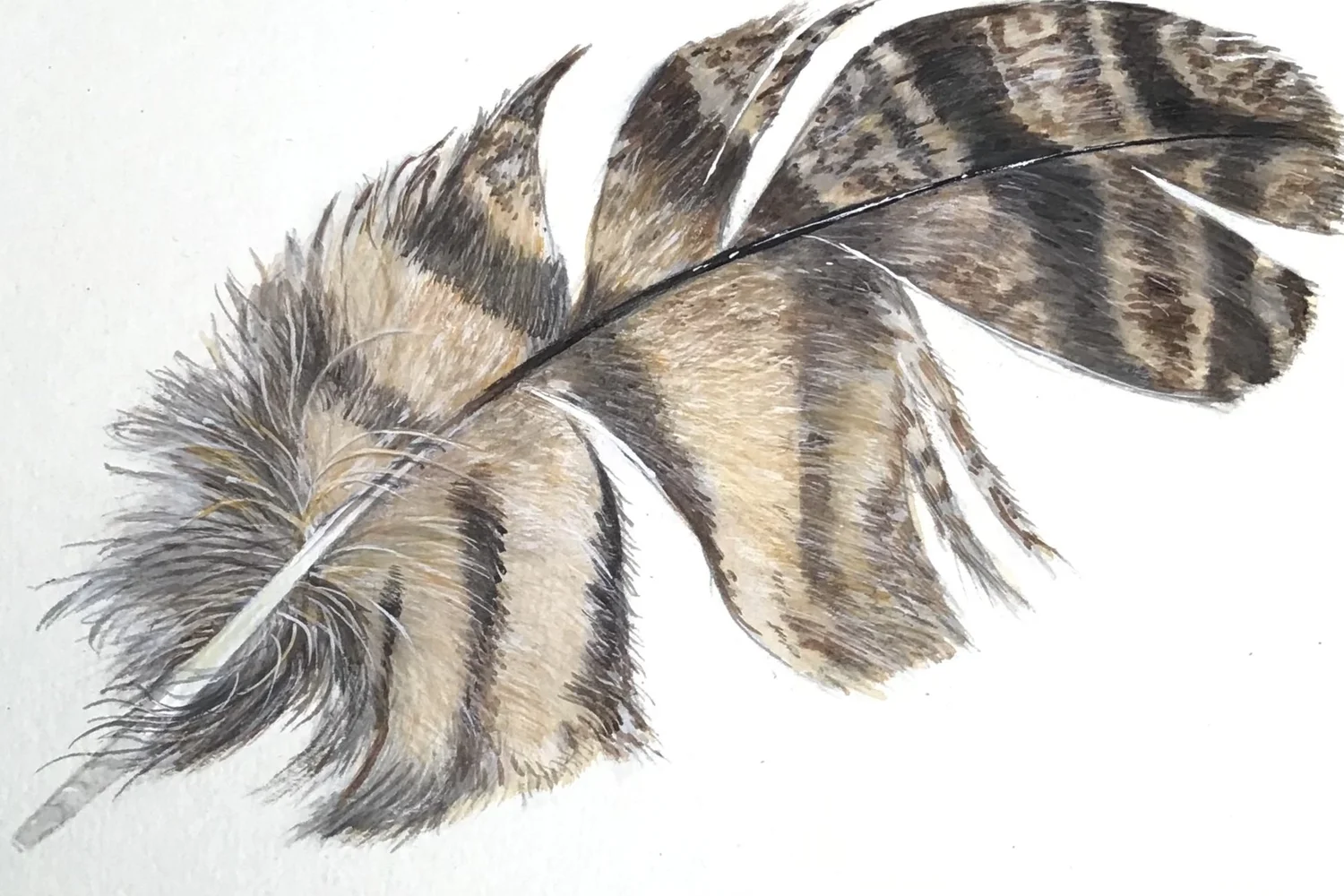 Painting Classes 2024 — Maryjo Koch