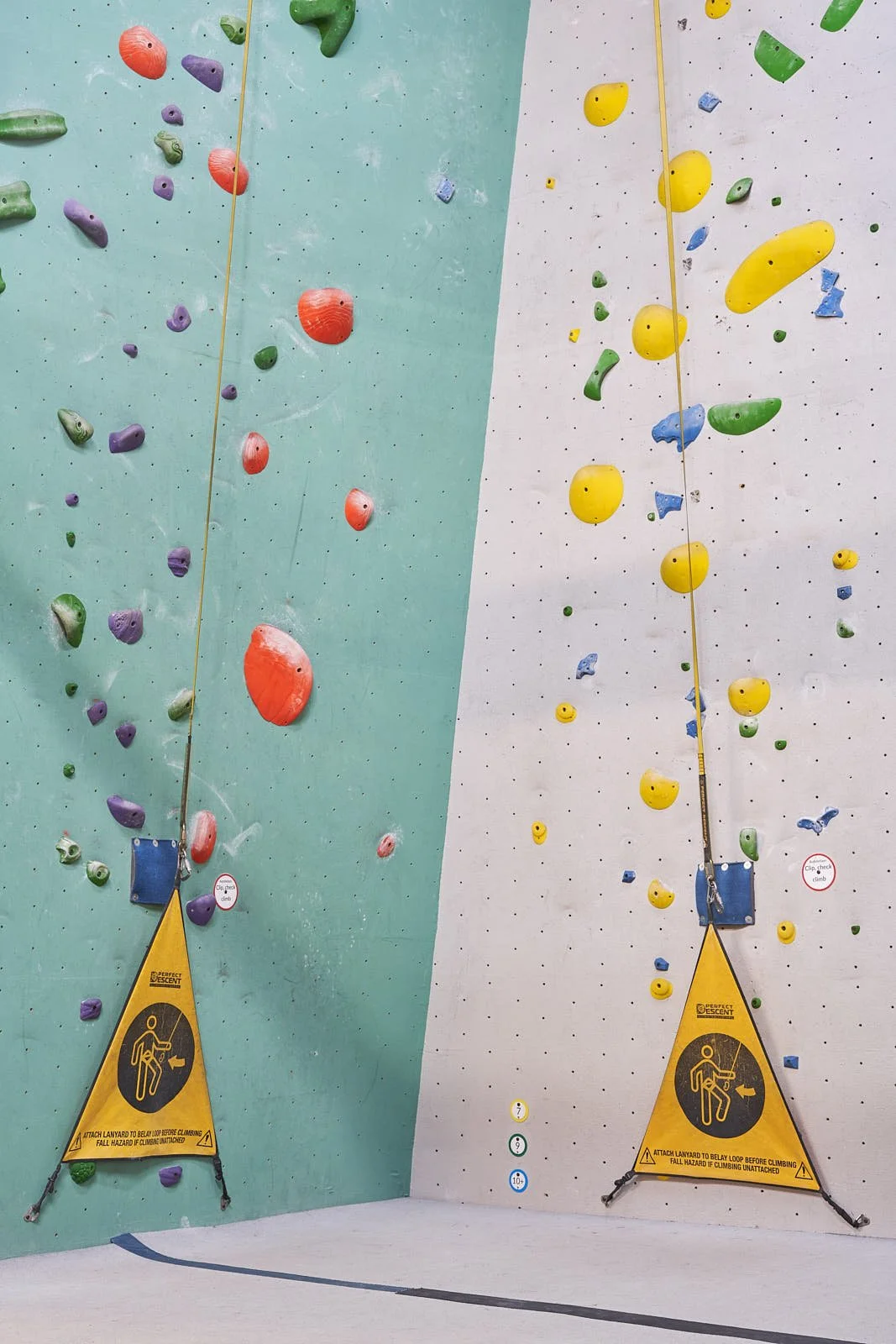 Gallery 3 — Rock Oasis