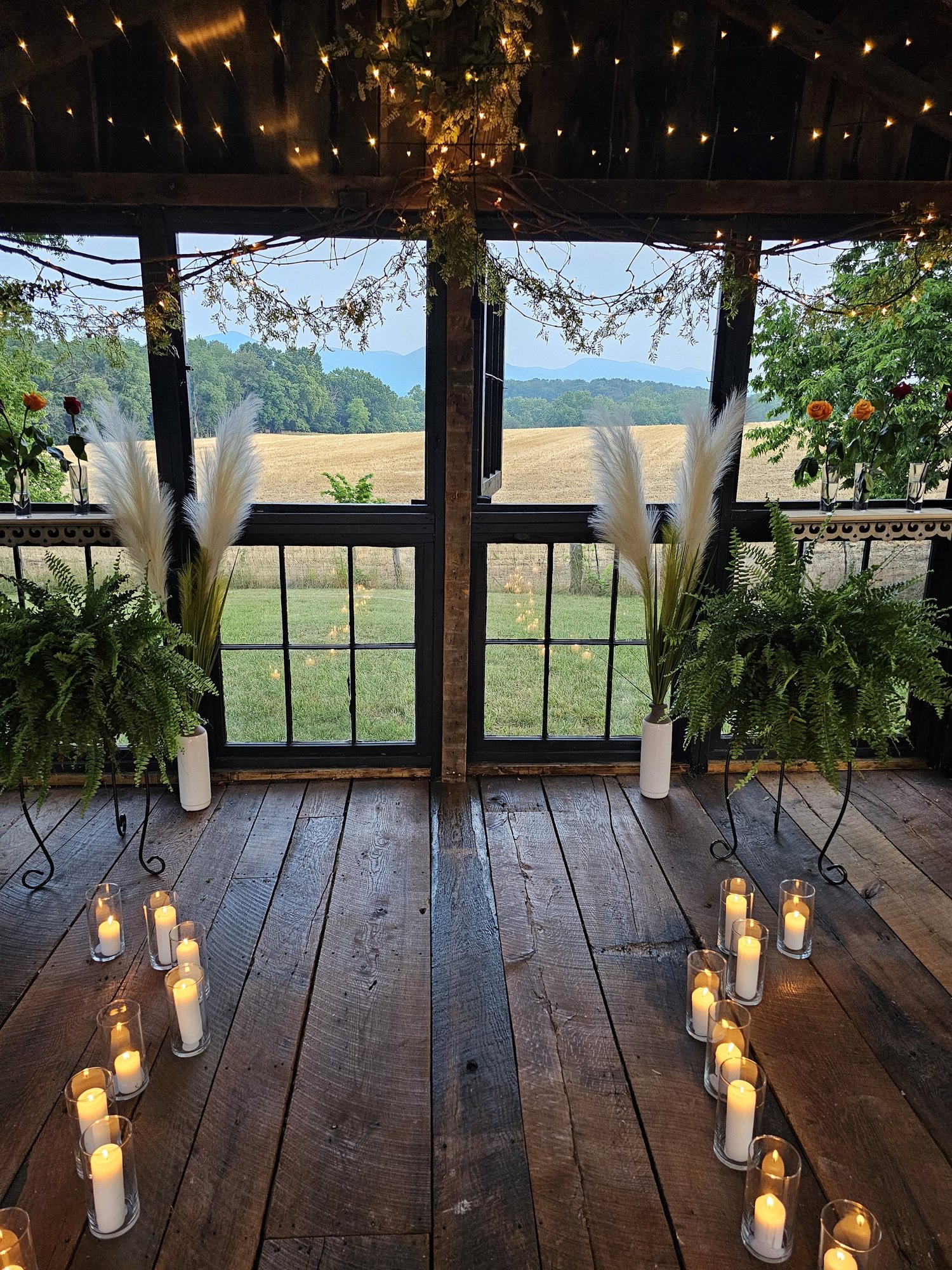 Gallery — Cricket Chirp Farm