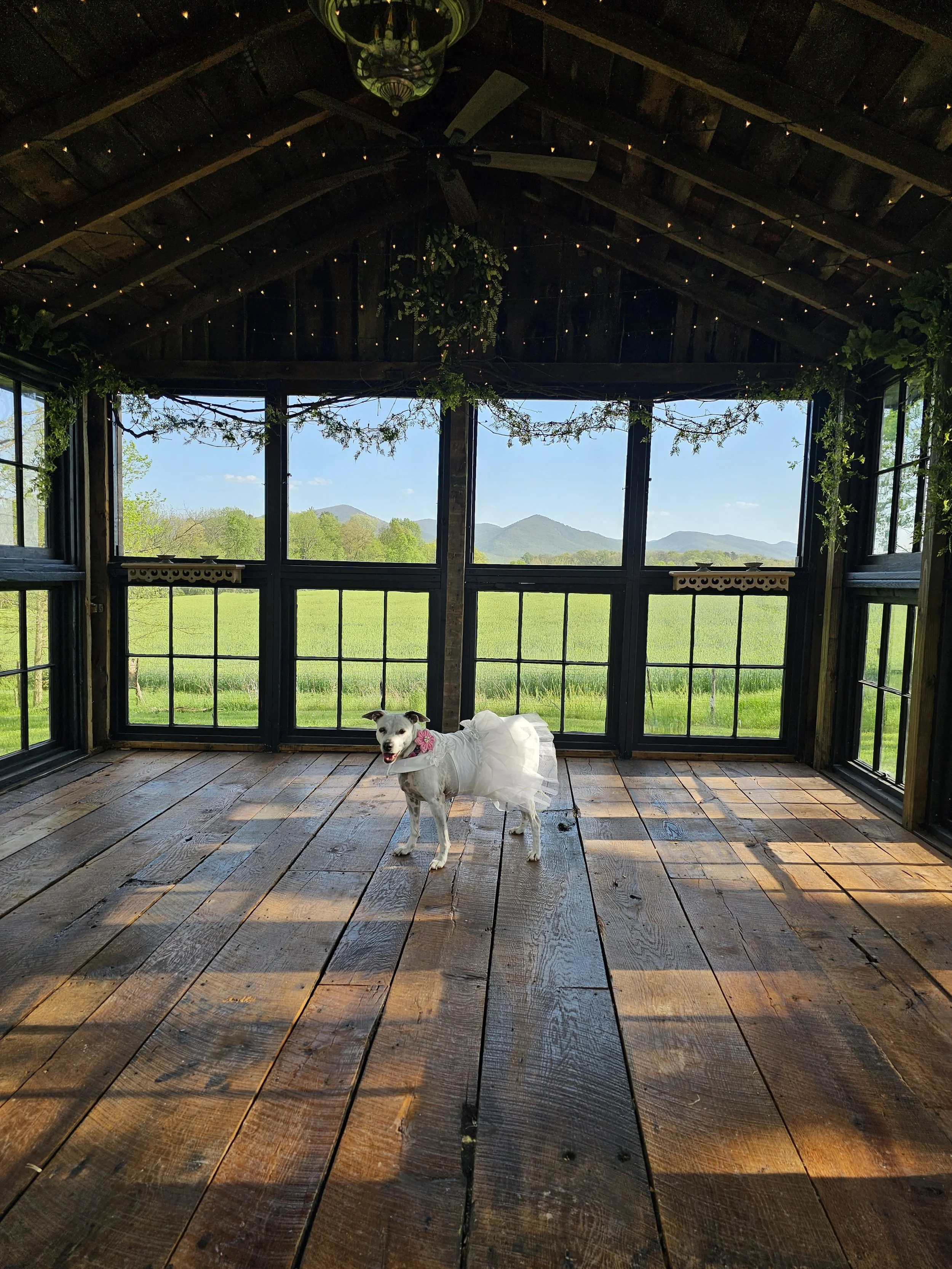 Gallery — Cricket Chirp Farm Gallery — Cricket Chirp Farm