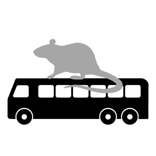 Get to the festival — RAT CITY ARTS FESTIVAL