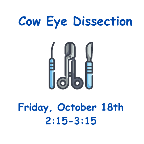 Cow Eye Dissection — Space Coast Academics