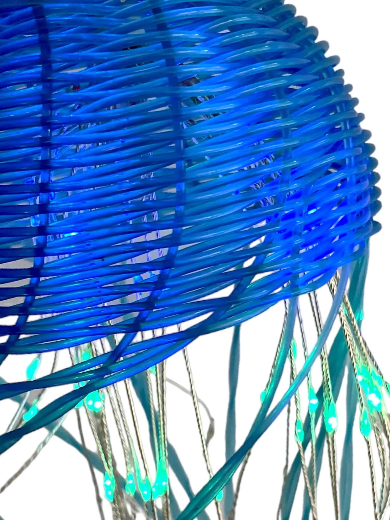 Sea Bird — alydegroot