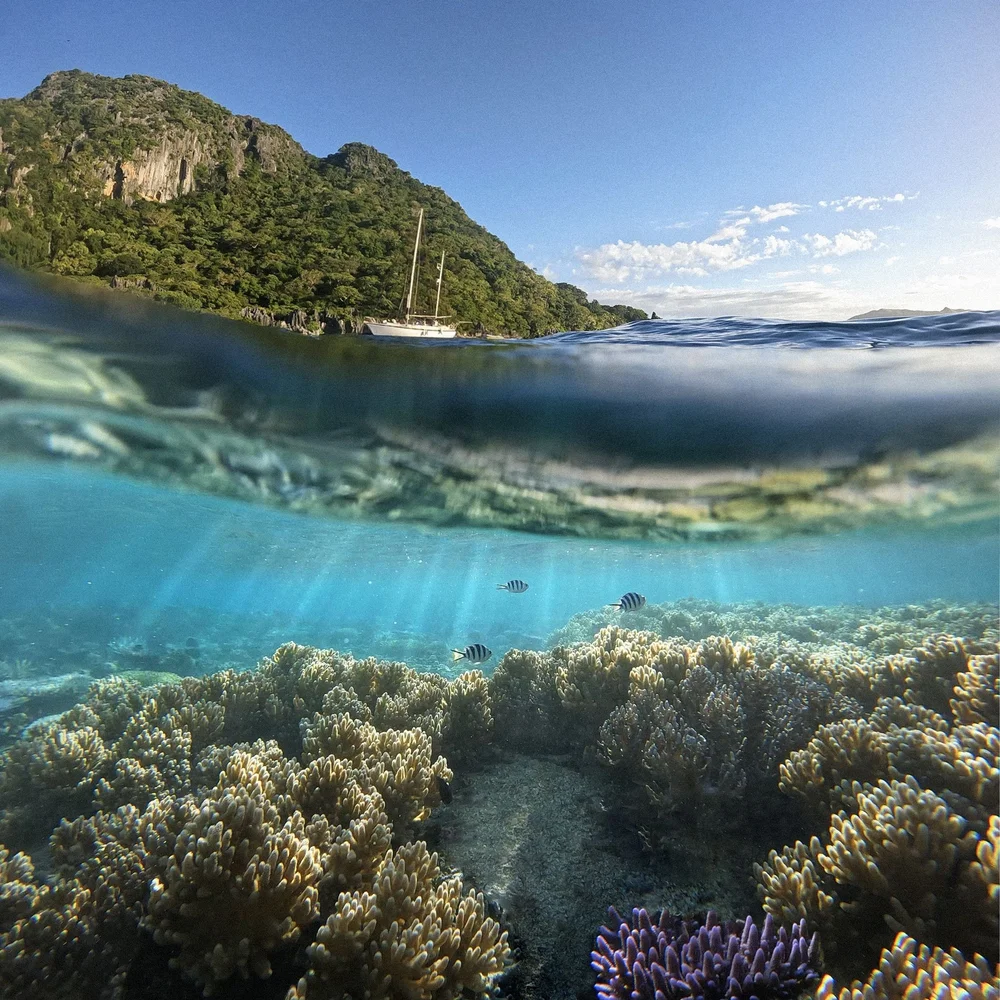 Find Us — Vuda Marina Fiji