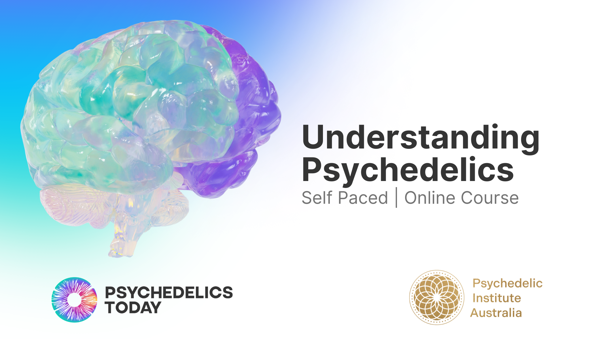 Psychedelic Education Psychedelic Institute Australia Psychedelic