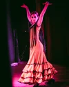 Flamenco Dinner Show — El Cid Sunset