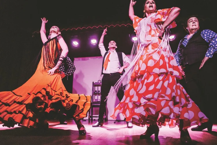Flamenco Dinner Show — El Cid Sunset
