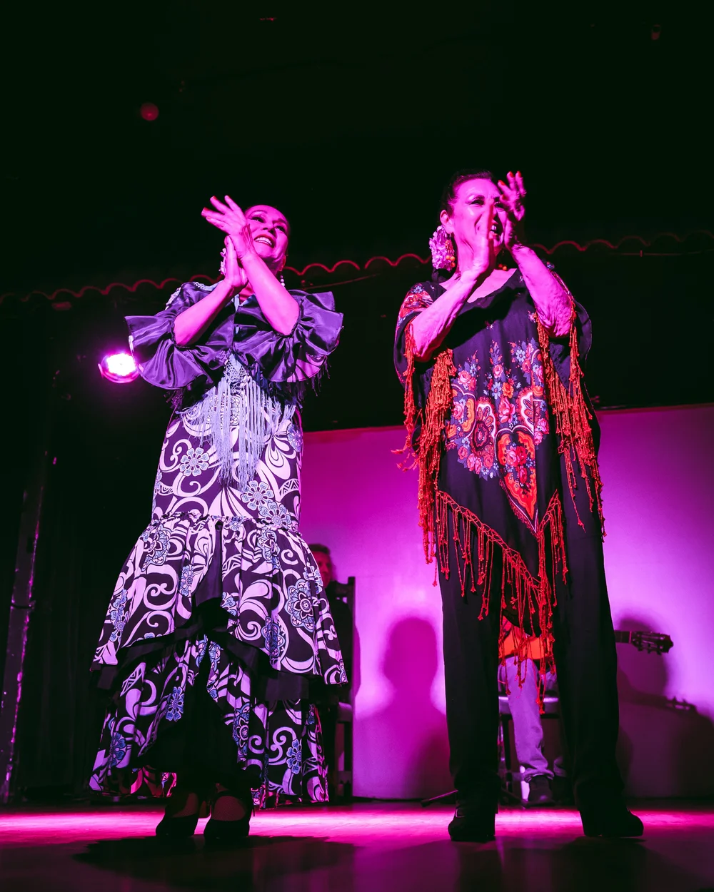 Flamenco Dinner Show — El Cid Sunset