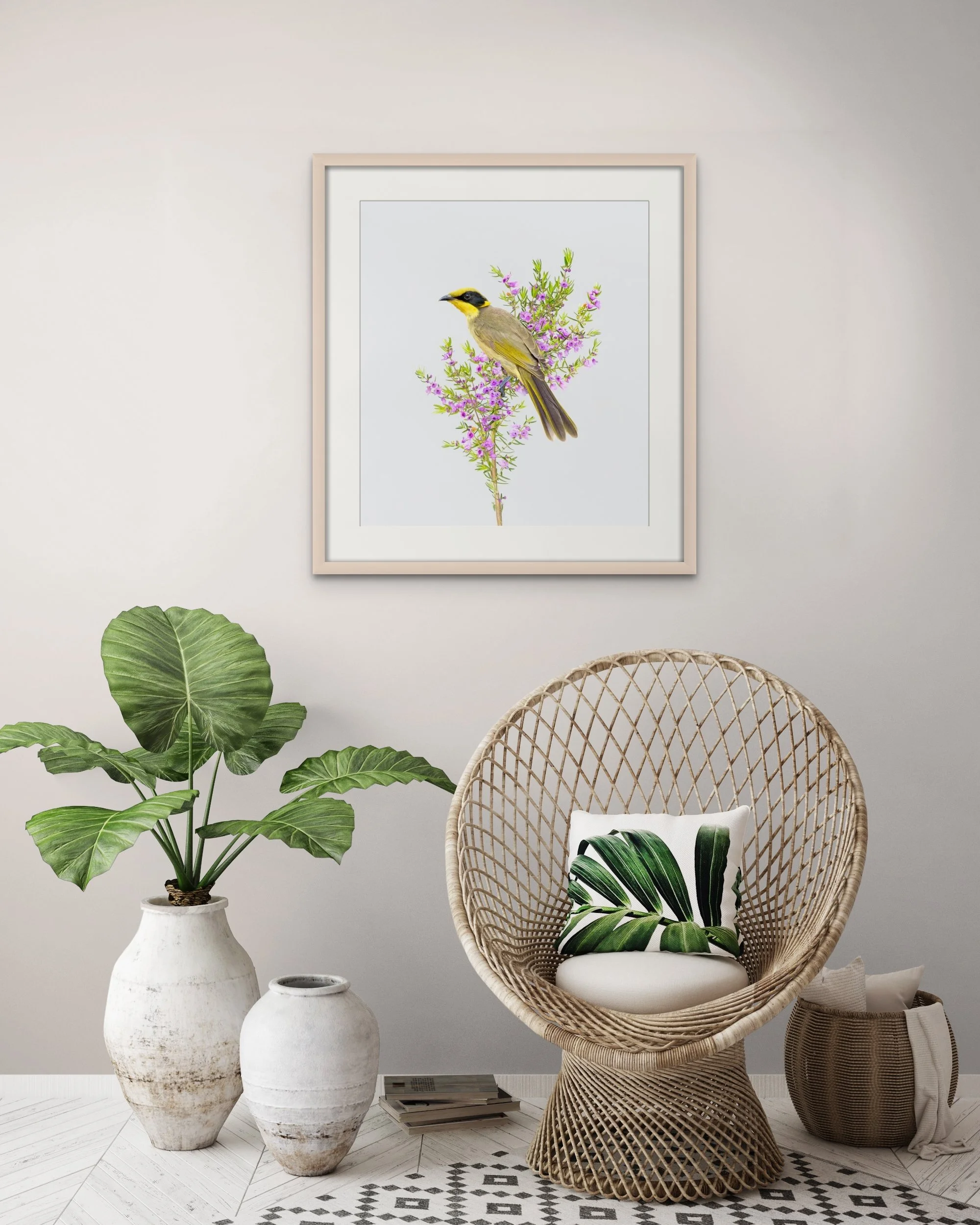 Buy Exotic Avian Illustrations & Fine Art Photography | Greg Oakley