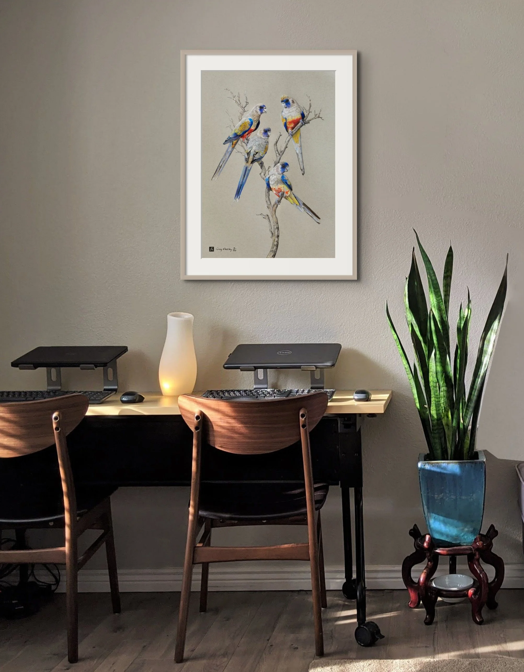 Buy Exotic Avian Illustrations & Fine Art Photography | Greg Oakley