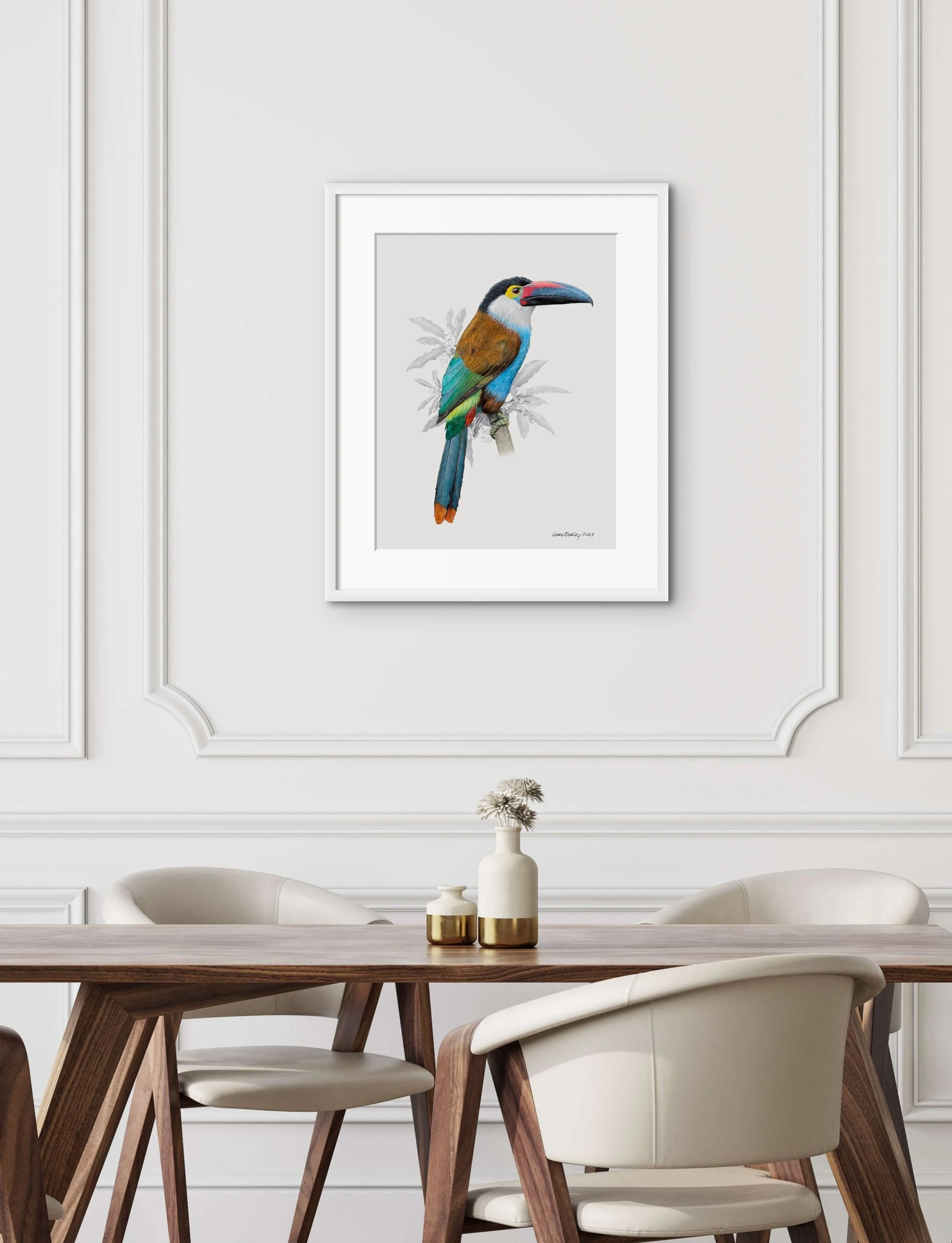 Buy Exotic Avian Illustrations & Fine Art Photography | Greg Oakley
