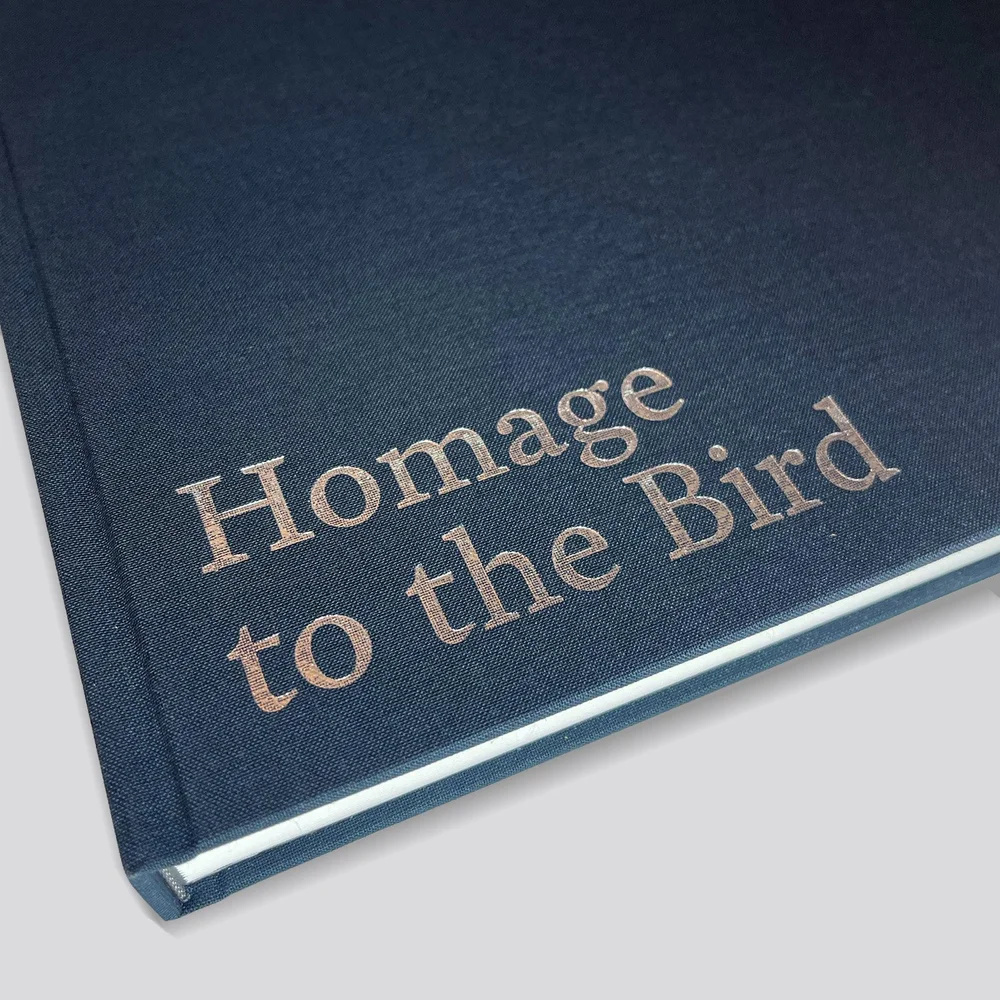 Homage to the Bird | Greg Oakley