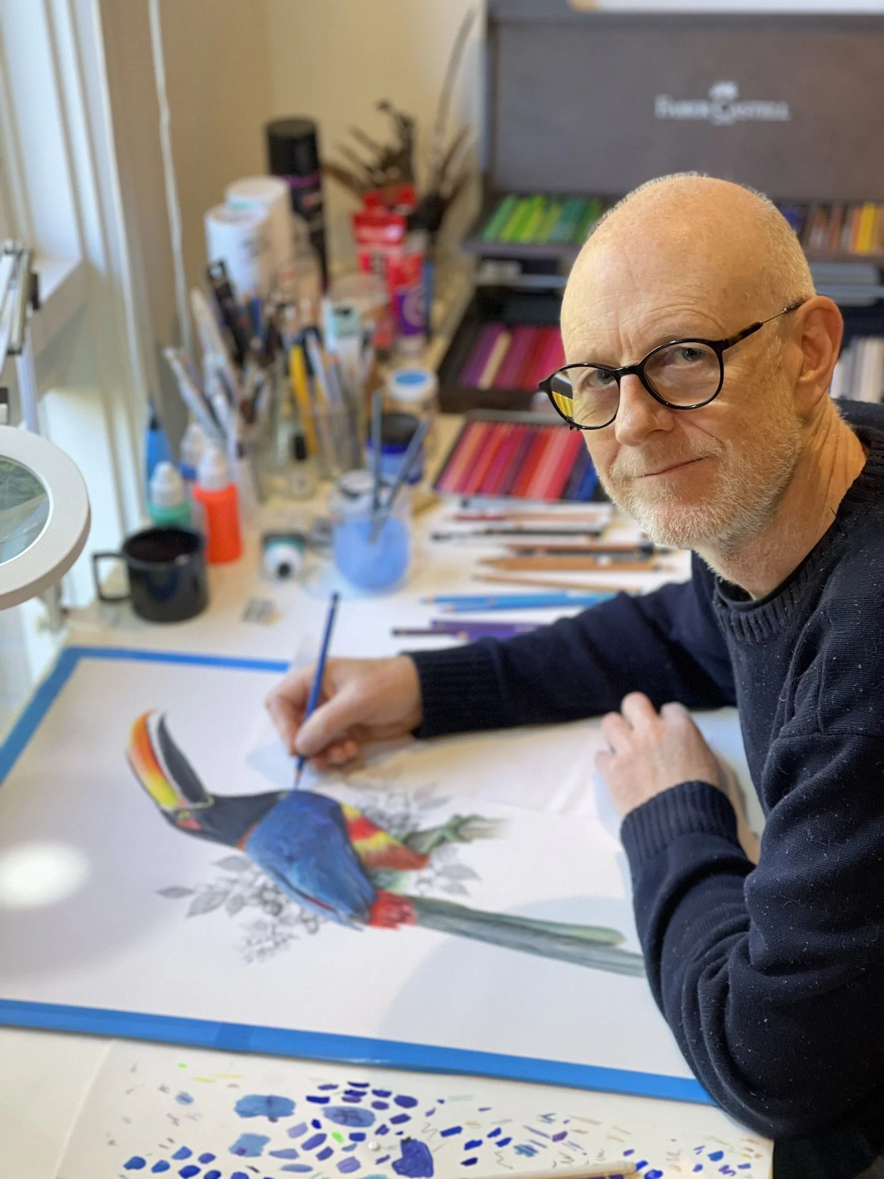 Bird Fine Art Paintings & Fine Art Photography | Australian Artist Greg ...