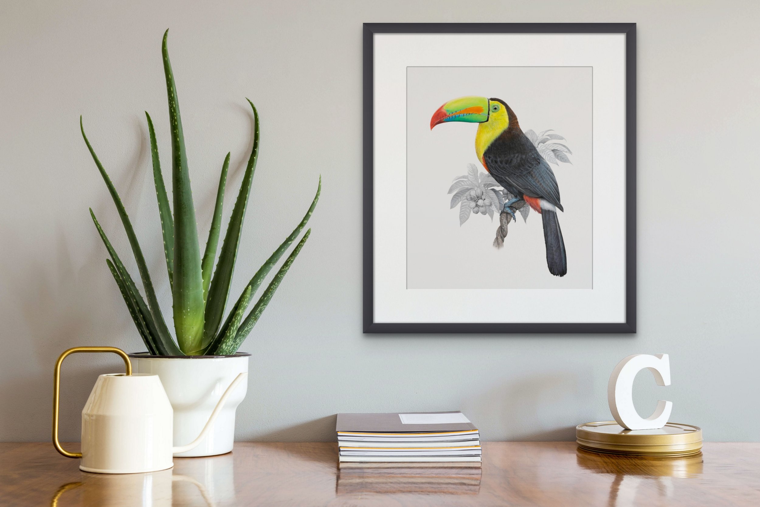 Fine Art Bird Illustration Commissions | Greg Oakley