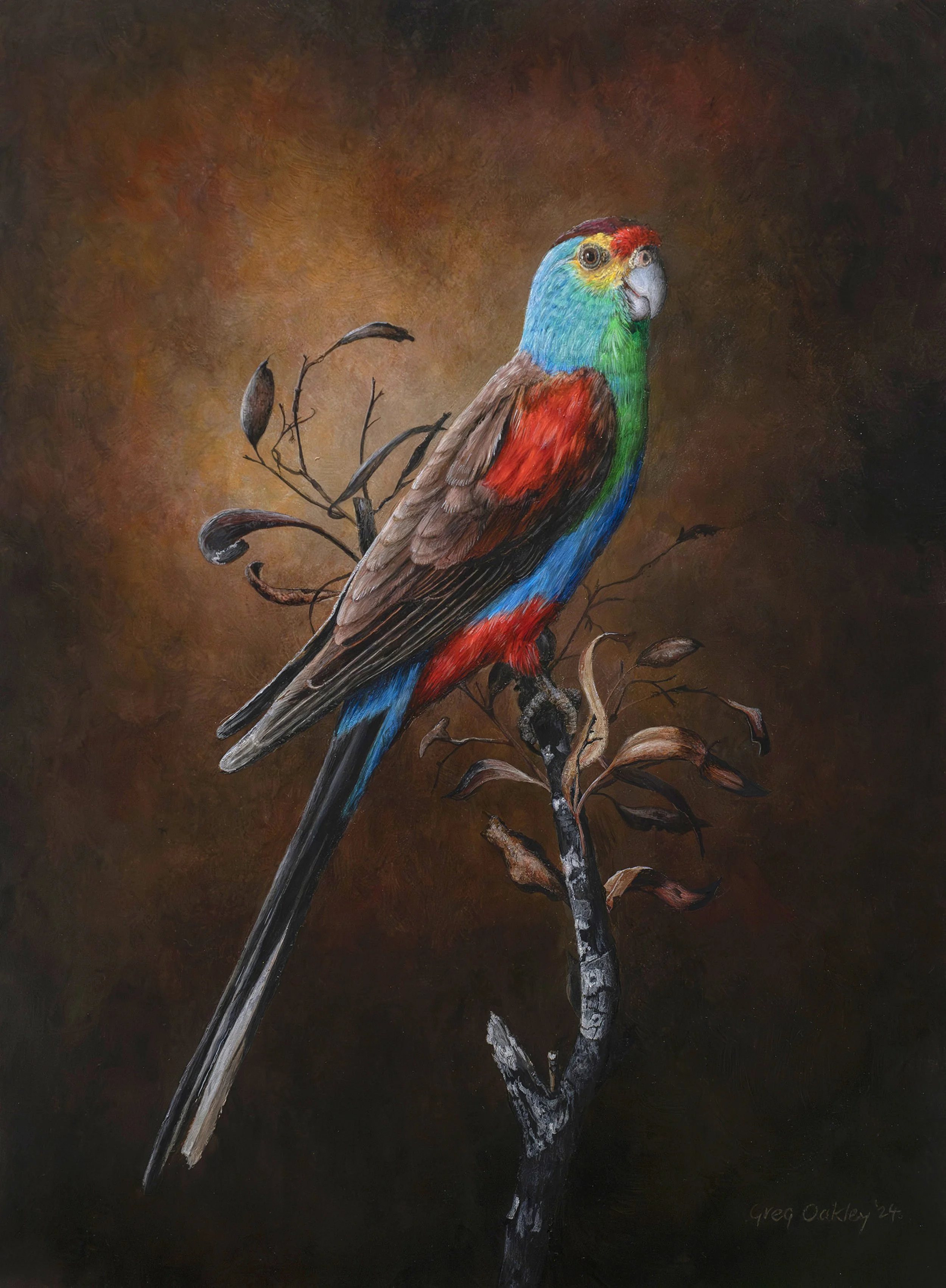 Bird Fine Art Paintings & Fine Art Photography | Australian Artist Greg ...