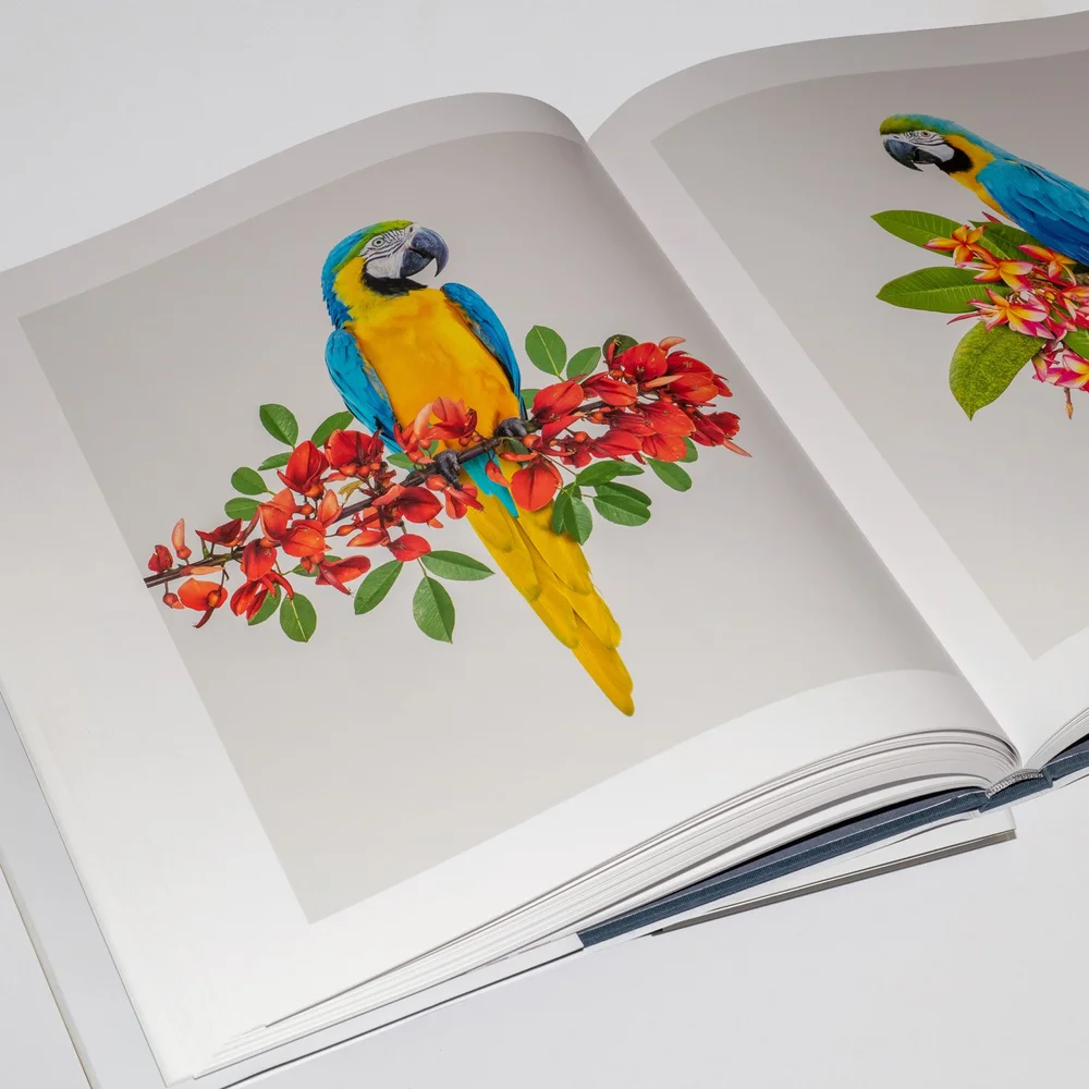 Homage to the Bird | Greg Oakley