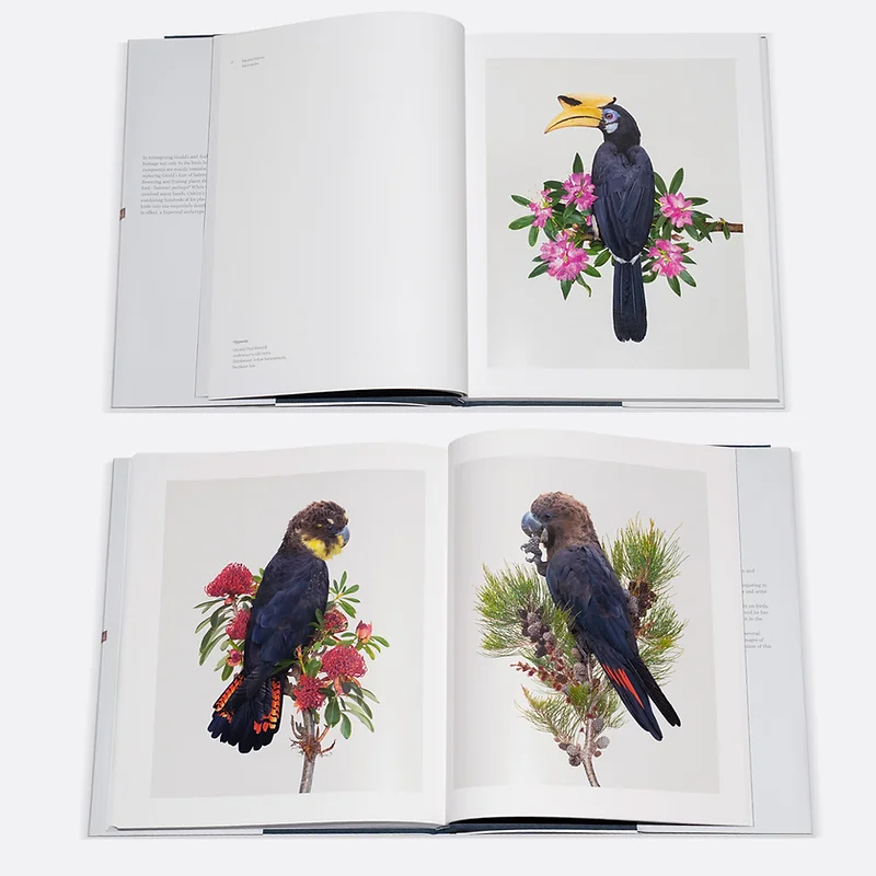 Homage to the Bird | Greg Oakley