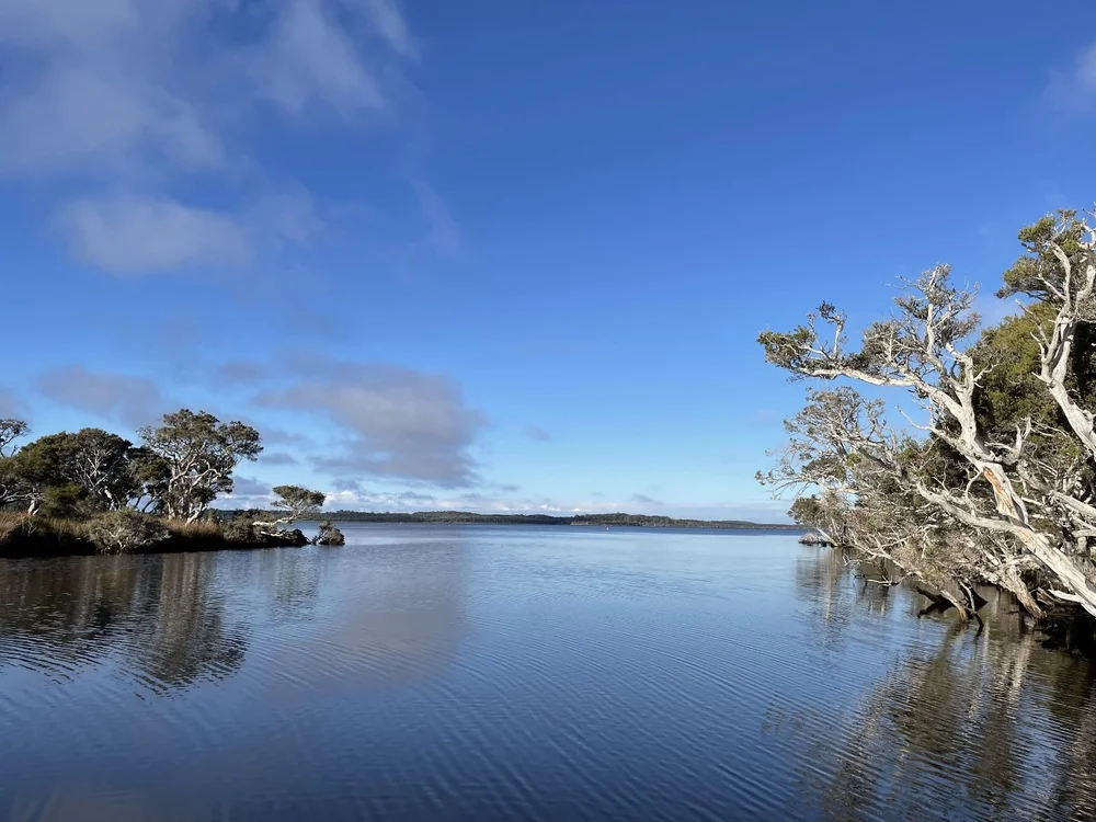 Natalie Ingham Translation Services